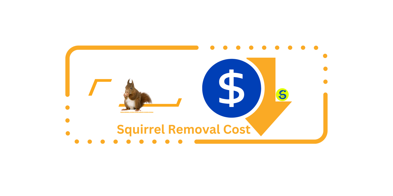 Do Squirrels Have Rabies? - Squirrel Control Services