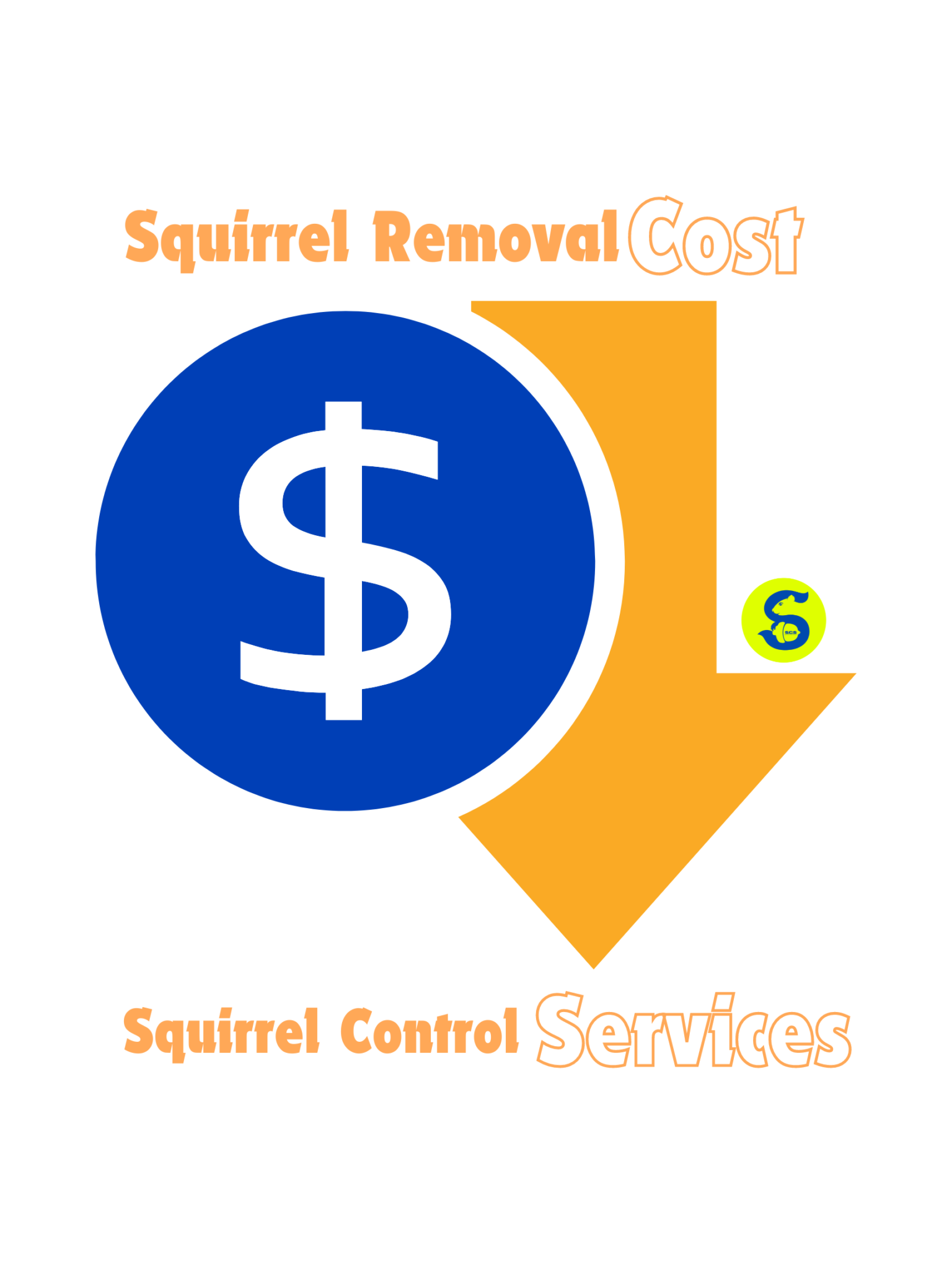 Squirrels | A Look at Squirrel Behaviour, Diet, and Habitat - Squirrel Control Services
